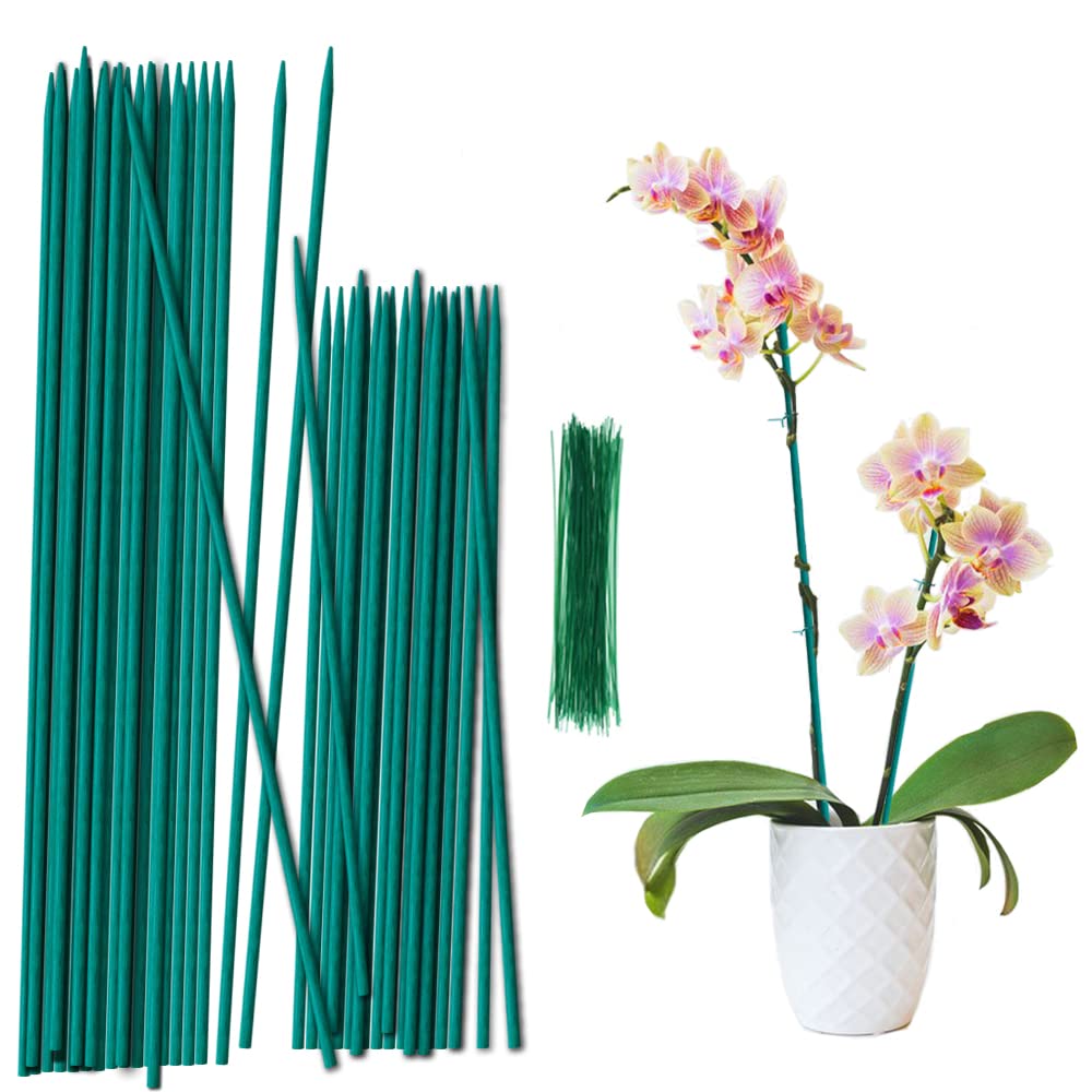SupKing Plant Stakes,17&12 Inch Wood Plant Sticks 30 Pack Orchid Stake Sturdy Green Bamboo Plant Support Stake Gardening Floral Potted Plant Support