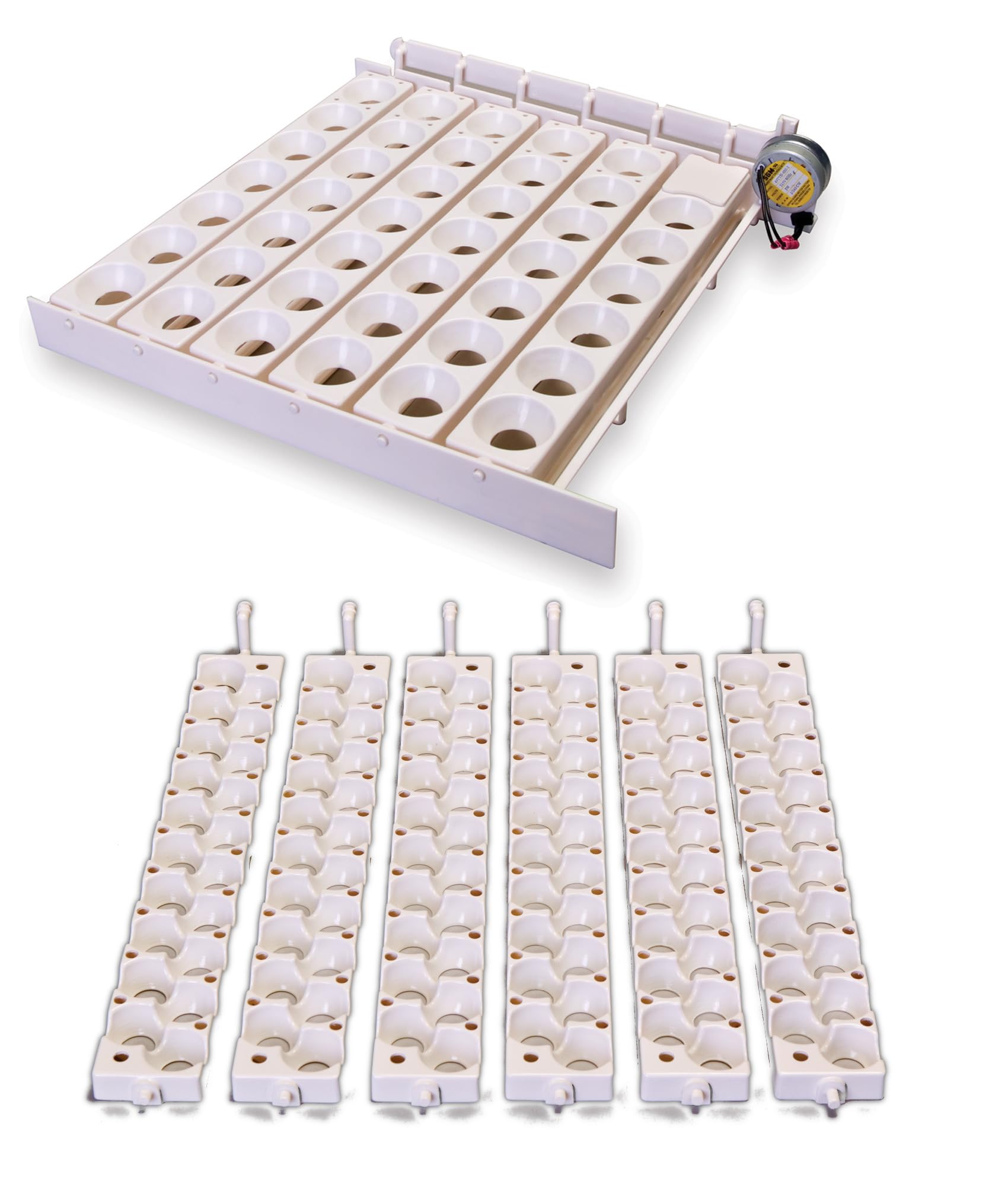 Little Giant Automatic Egg Turner 6300 w Quail Rails
