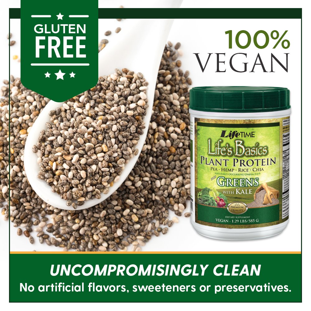 LIFETIME Lifes Basics Plant Based Protein Powder | Natural Chocolate, Vegan | No Gluten, Artificial Flavors, or Preservatives | 1.22lb
