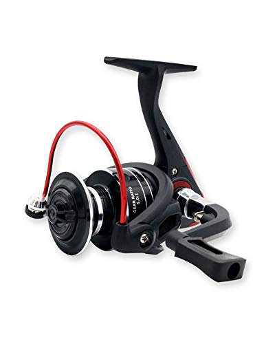 LLJPYX7L Spinning Fishing Reel with 10BB Rust-Proof Bearing, Large-Capacity Spinning Fishing Reel, 5.0:1 Gear Ratio, Left/Right Rocker arm Interchangeable (Size : 6000)
