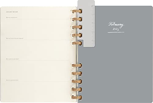 Moleskine Spiral 12 Month 2023 Solar Year Planner, Hard Cover, XXL (8.25" X 11.75"), Smoke