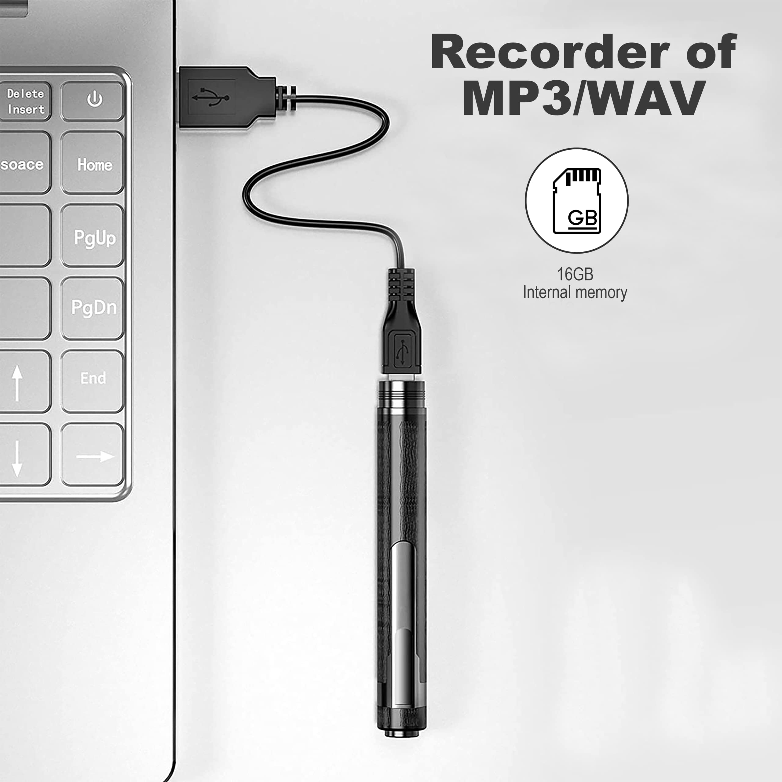 THEXLY Digital Voice Recorder - Voice Activated Pen Recorder for Lectures Meetings Classes, Mini spy Pen Recording Device Portable USB MP3 Playback, Wearable Recording Device