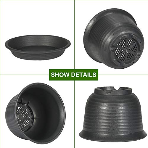 ZOUTOG ππ π·πππ π·ππππ π·πππ, 6 inches Plastic Planters with Drainage Hole and Tray, Plants Not Included