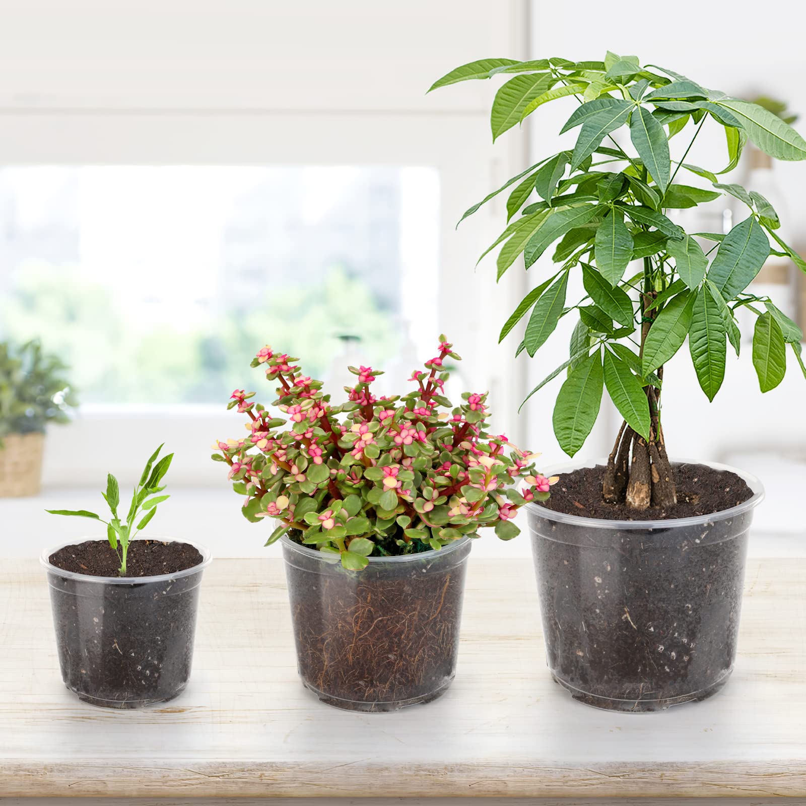 OUPSAUI 6/5/3.5 Inch Clear Nursery Pots with Drainage Holes, 30 Pack Nursery Pots Variety Pack, Durable Transparent Plastic Pots for Plants, Seed Starter Pots, Garden Flower Orchid Pots