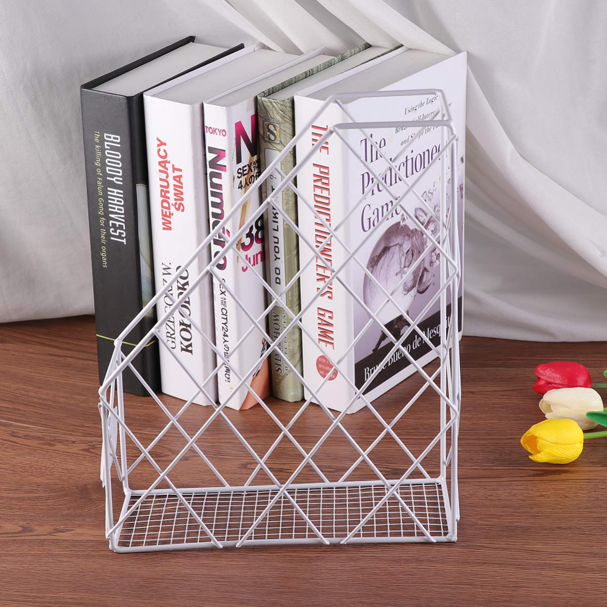 NUOBESTY Bookshelf for Office File Racks for Desktop Magazine File Holder Jewelry Organizer Hanger Desktop Organizer Magazine Stand Desk Accessories Storage Book Shelf White
