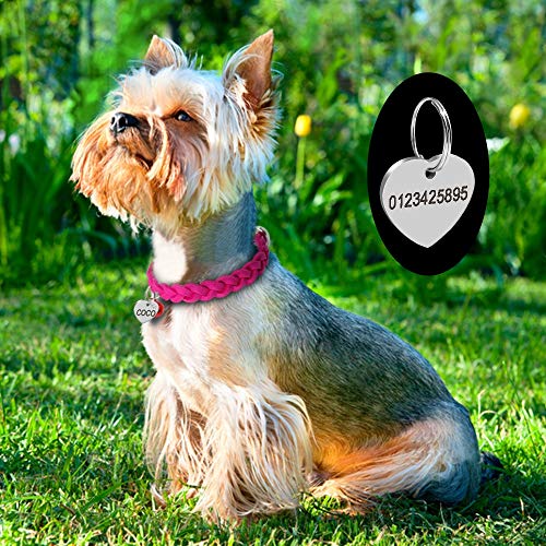 Leather Dog Collar Braided Dog Puppy Cats ID Collar with Name Personalized Engraved for Small Medium Dogs Free Bell (Color : Red Size : S Code)