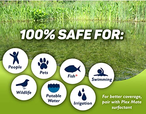 Tsunami DQ Aquatic Herbicide- Quart - 37.3 Percent Diquat Dibromide β Concentrated Aquatic Weed Killer for Lakes and Ponds - Duckweed, Watermeal, Curly Leaf, Pondweed & Many More