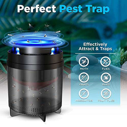 White Kaiman Bug and Flying Insect Trap | Indoor Fly, Gnat, and Mosquito Trap W/Easy Plug & Leave Design -