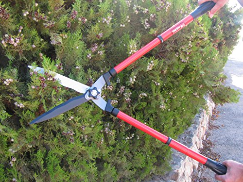 TABOR TOOLS B212A Telescopic Hedge Shears with Wavy Blade and Extendable Steel Handles. Extendable Manual Hedge Clippers for Trimming Borders, Boxwood, and Tall Bushes.
