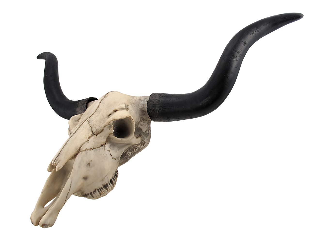 Long Horn Cow Skull Wall Hanging Longhorn Steer