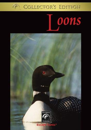 Loons