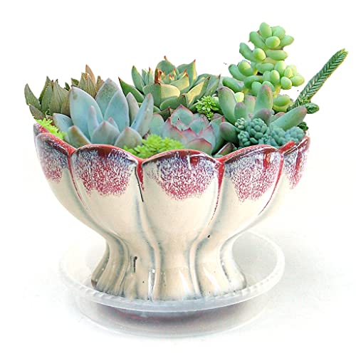 Summer Impressions 6 Inch Glazed Terracotta Succulent Planter with Drainage Hole Clear Plant Saucer Cactus Planter Pot Bonsai Pot Clay Pot Flower Pot (Lotus Red with Saucer)