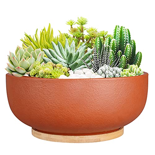 SQOWL 10 Inch Large Terracotta Planter Pot,Clay Succulent Bonsai Planter with Drainage Hole and Bamboo Saucer for Indoor Plants