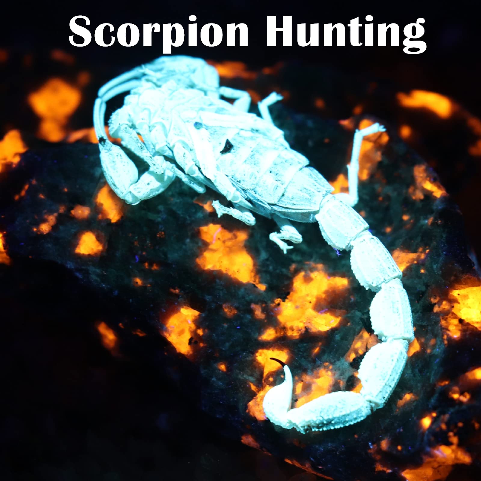 LUMENSHOOTER S5 UV Flashlight, Super Bright Black Light Flashlight with 5 LEDs, for UV Resin Curing, Rockhounding, Pet Urine Detecting, Scorpion Hunting (365NM)