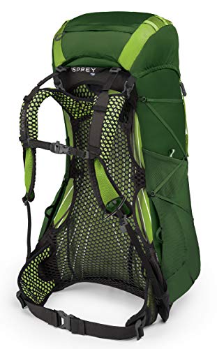 Osprey Exos 38 Men's Backpacking Backpack, Tunnel Green, Large