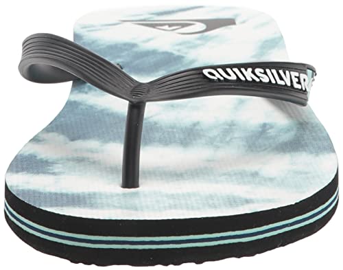 Quiksilver Men's Molokai Art Flip Flop Sandal, Grey 1, 8