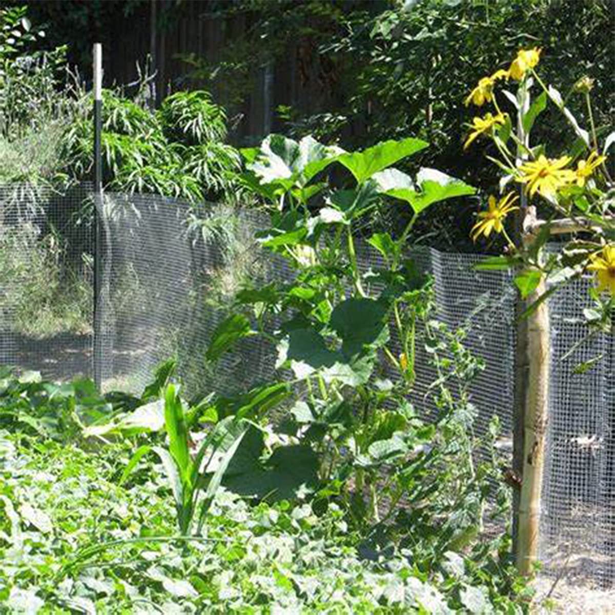 Nueve Deer Hardware Cloth 6 foot x 50 foot 1/2 inch Mesh 19 Gauge, Hot Dip Galvanized After Welding, Welded Wire Mesh Roll Chicken Wire Fencing Cage Wire Rodent Wire