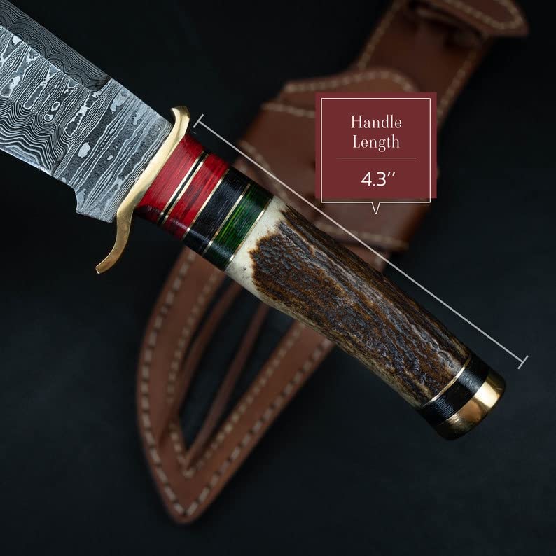 PSK158 - Handmade Damascus Steel Hunting Knife, Stag Horn Handle With Leather Sheath GIFT