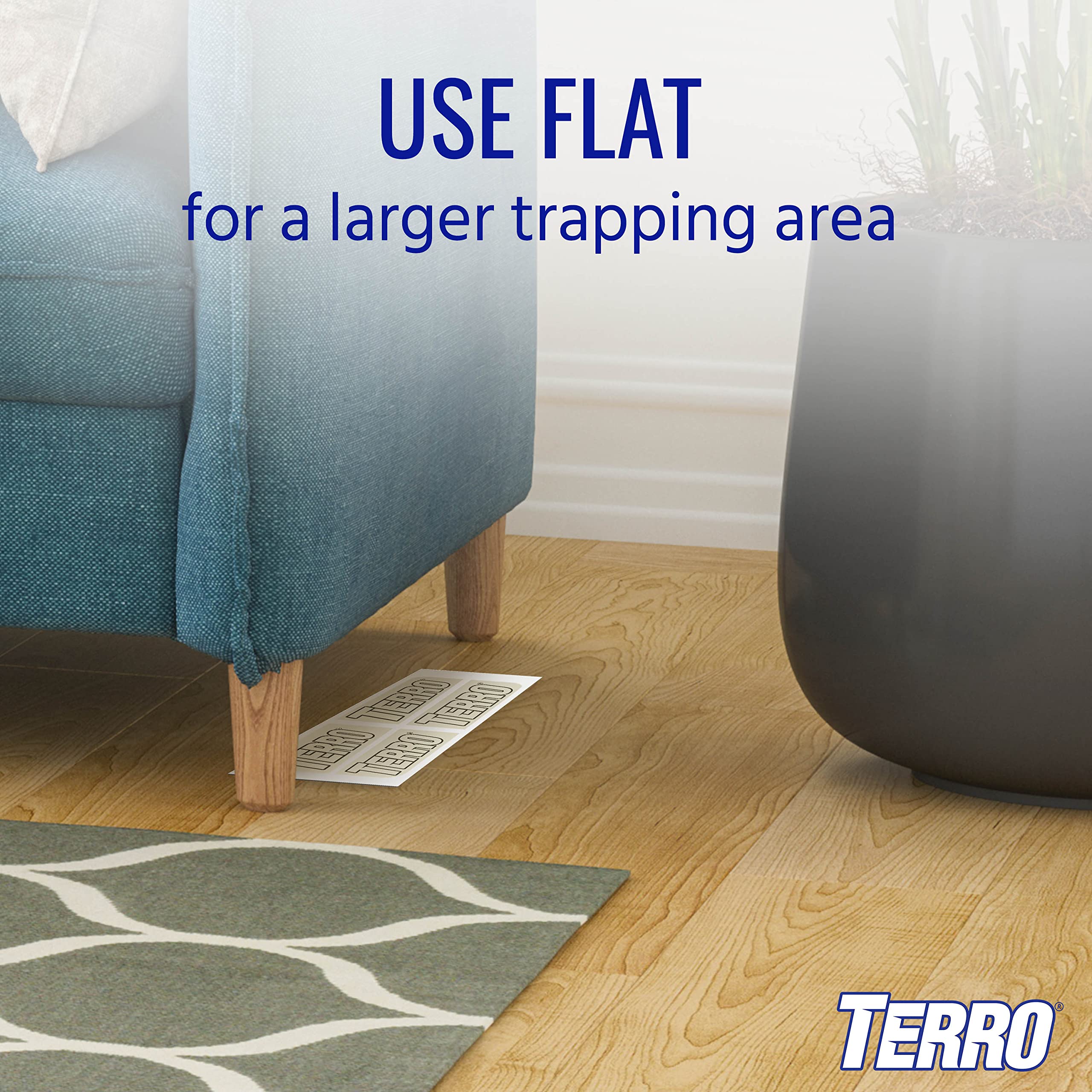 Terro T3206 Spider & Insect Trap, 4 Count (Pack of 1)