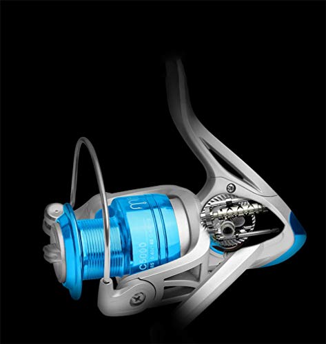 LLJPYX7L Seawater Spinning Fishing Reel with 10 Rust-Proof Bearings 4.7:1 Gear Ratio, Left/Right Interchangeable Handle, Suitable for Salt Water and Fresh Water (Size : 2000)
