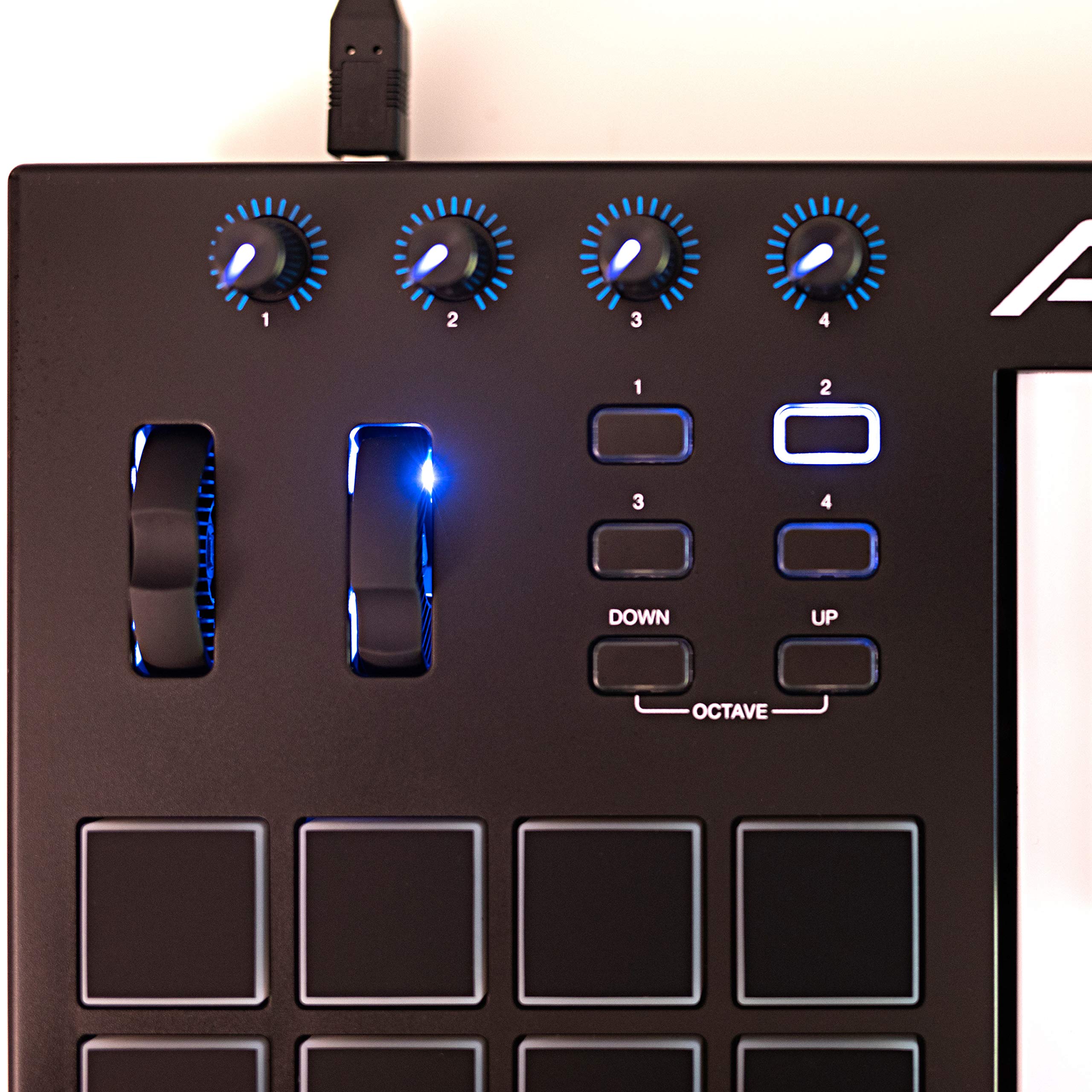 MIDI Controller Bundle | 61 Key USB MIDI Keyboard with 8 Beat Pads, Sustain Pedal and Software Suite – Alesis V61 and M-Audio SP-2