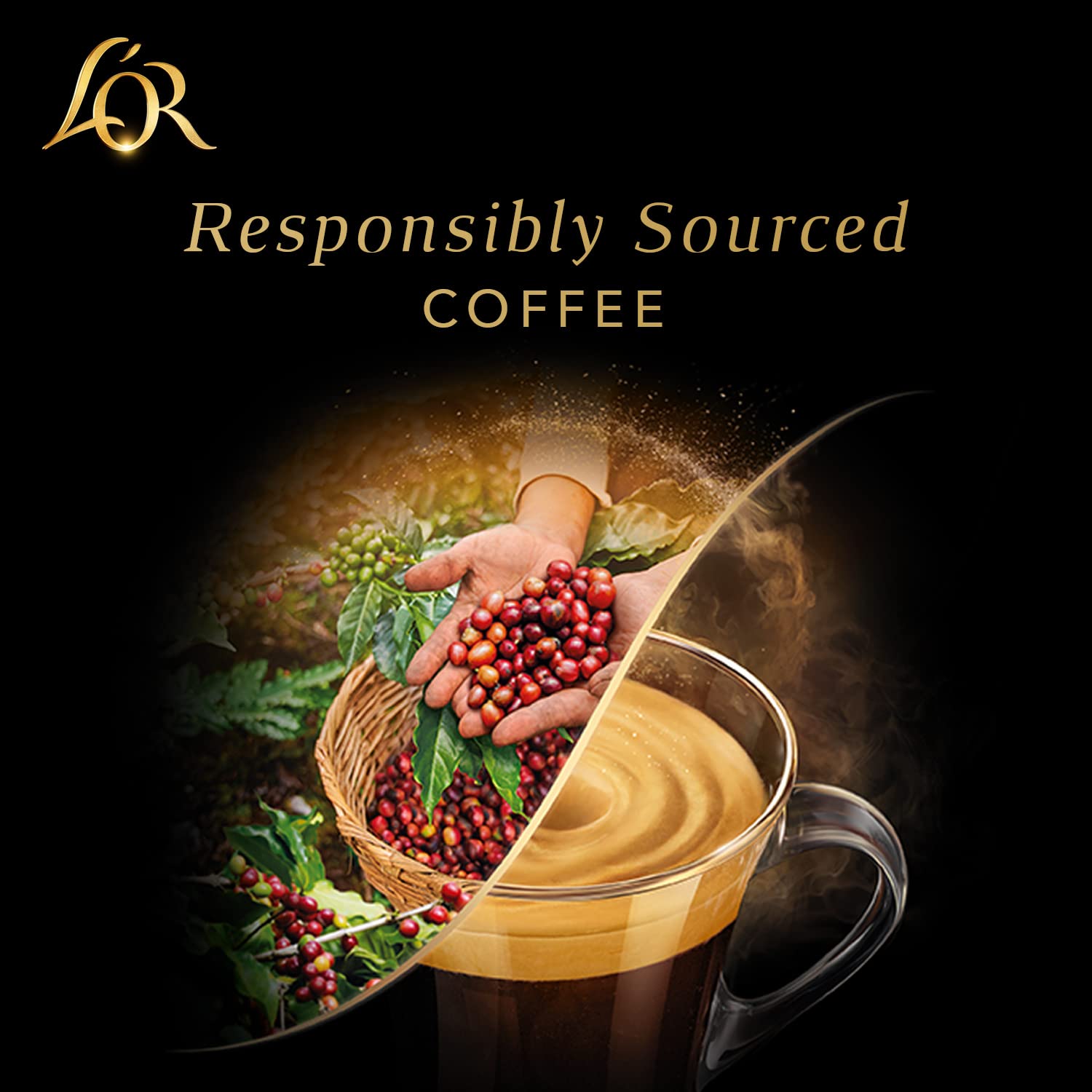 L'OR Espresso Capsules, 100 Count Espresso Onyx, Single-Serve Aluminum Coffee Capsules Compatible with the L'OR BARISTA System & *Nespresso Original Machines