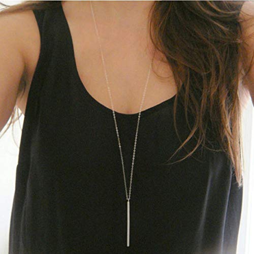 Luxcastle Bar Y Necklace Simple Long Vertical Bar Necklace Long Chian for Women (Silver)