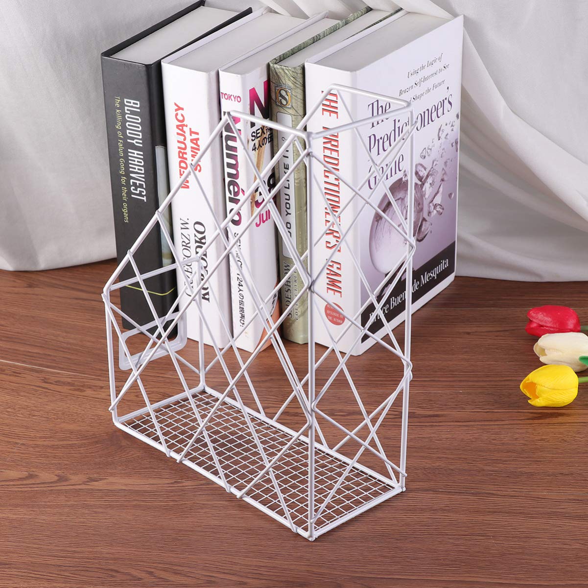 NUOBESTY Bookshelf for Office File Racks for Desktop Magazine File Holder Jewelry Organizer Hanger Desktop Organizer Magazine Stand Desk Accessories Storage Book Shelf White