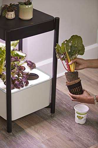 Miracle-Gro Twelve Transplanting Kit, Includes 4 Coir Liners and 4 Large Net Cups - Use Twelve Indoor Growing System - Designed for Growing Plants in Hydroponic Systems
