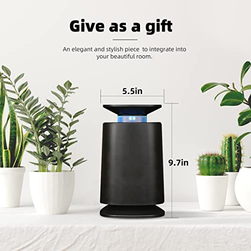 Upenjok Fly Trap Indoor - Killer for Mosquito, Gnat, Fruit Flies, Moth - Non-Zapper Traps for Home with 10 Strong Sticky Glue Boards and 5 Mosquito Luring (Black)