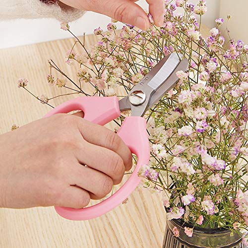 Stainless Steel Garden Florist Pruning Shears Gardening Handle Scissors Grafting Tool Branch Floral Bonsai Trimming Scissor