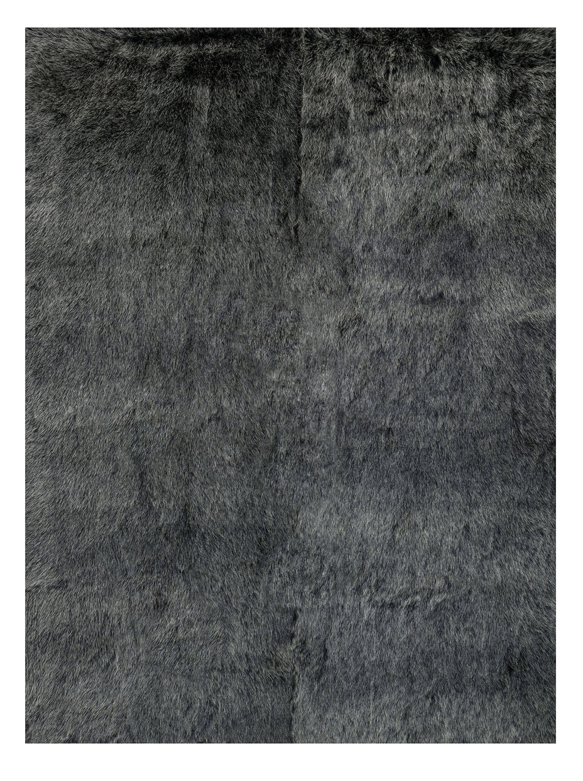 Loloi FINLEY Area Rug, 3'0" by 5'0", Black/Charcoal