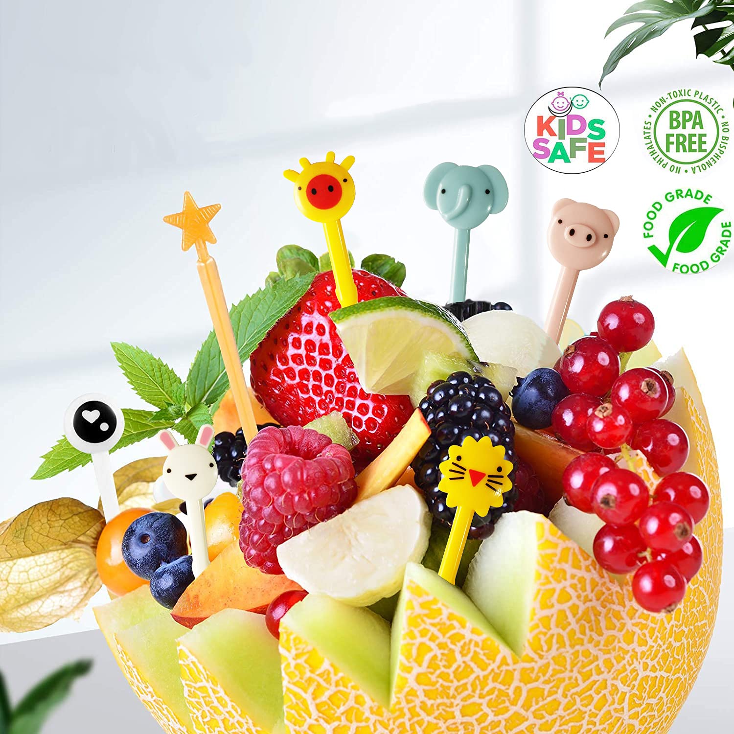 Sandwich Bread Cutters Shapes Set for Kids Vegetables Fruits Cheese Shapes Mold Supplies Crust Lunchbox and Bento Box