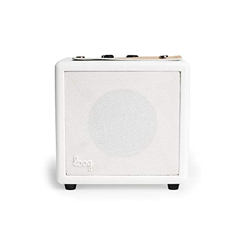 Loog Mini Amp and Cable