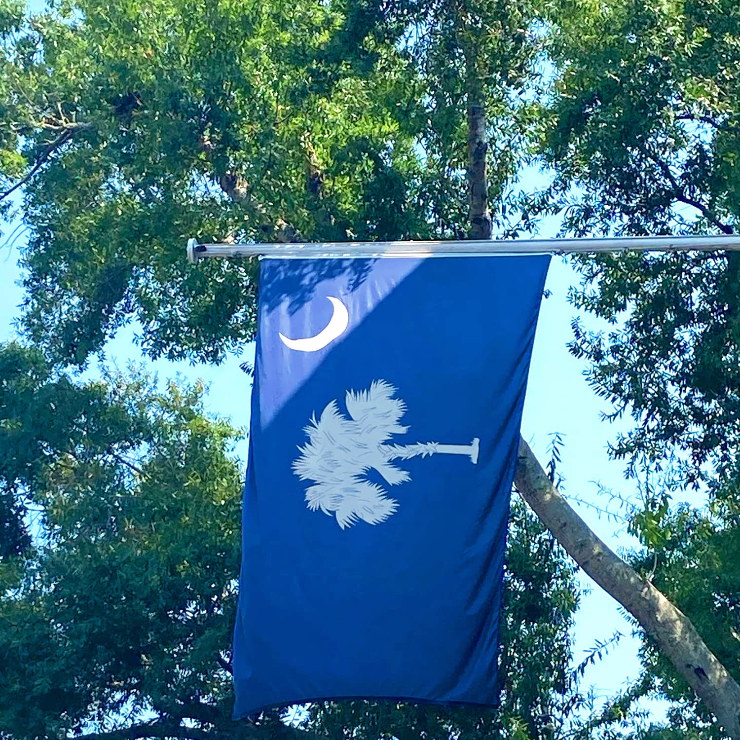 XIFAN Double Sided South Carolina State Flag 3x5 ft, Heavy Duty 3 Ply Durable Polyester, SC Flag with Vibrant Print/4 Rows Hemming/Brass Grommets for Indoor Outdoor Decor