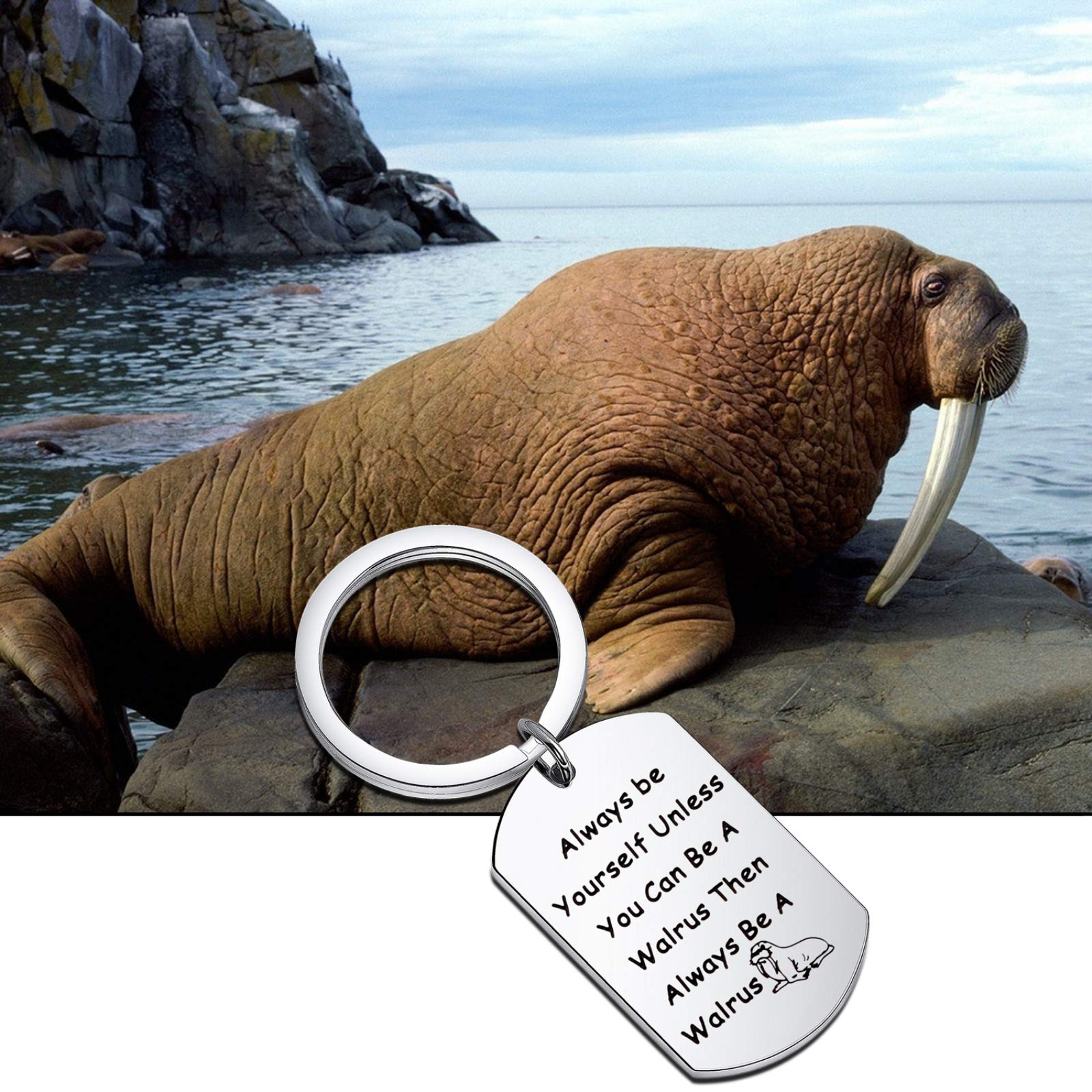 LQRI Walrus Gift Walrus Inspirational Jewelry Always Be Yourself Unless You Can Be a Walrus Then Always Be a Walrus Keychain For Her Him (d- walrus)
