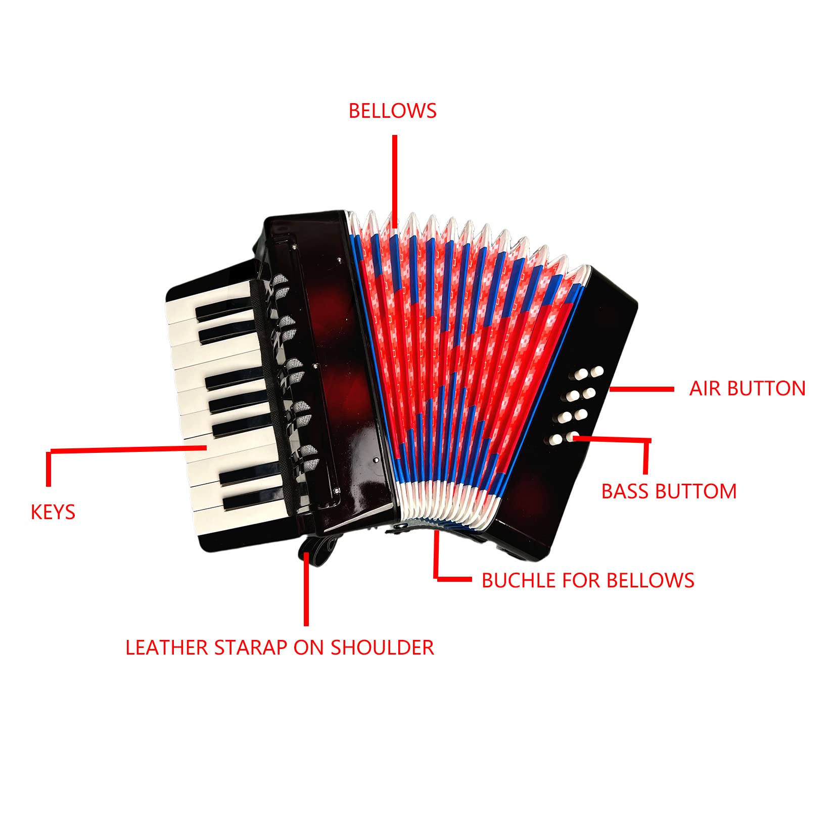 SIPSOCE Accordion 17 Keys 8 Bass, Keyboard Instrument,Convenient to Carry, Suitable for Outdoor Concerts,For Beginners to Use