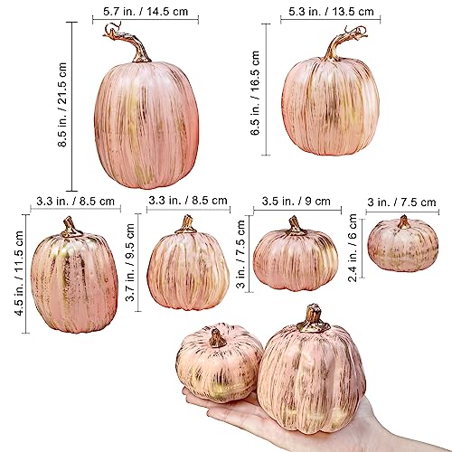 Winlyn 10 Pcs Assorted Artificial Gold Brushed Pink Pumpkins Rustic Decorative Pumpkins Foam Pumpkins for Farmhouse Fall Wedding Baby Shower Halloween Tabletop Centerpiece Mantel Decoration