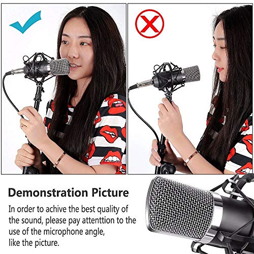 VIBY Professional Studio Broadcasting Recording Condenser Microphone Kit with Microphone Stand and Shock Mount