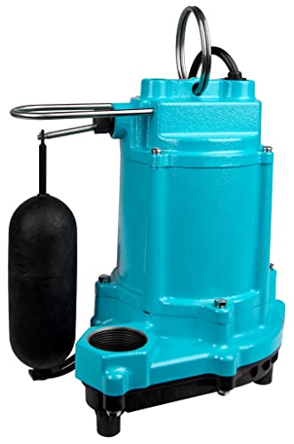 Little Giant CS-SS 115-Volt, 1/3 HP, 3000 GPH Pre-Packaged Automatic Crawl Space Sump System with 20-Ft. Cord, Blue/Black, 14940655