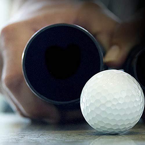 WORKSHOP Wet/Dry Vacs Vacuum Gutter Cleaning Kit WS25051A 2-1/2-Inch Wet/Dry Shop Vacuum Accessories Designed For Gutter Cleaning, Black