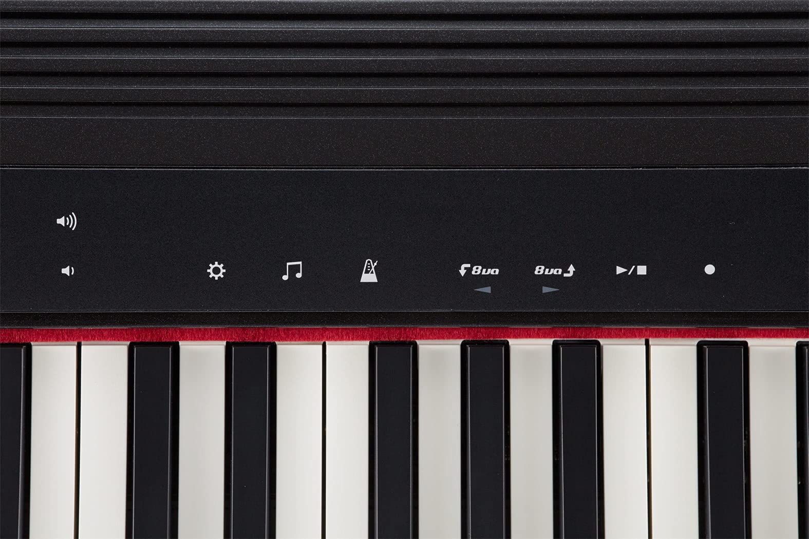Roland GO:PIANO 61-Key Digital Piano Bundle with Roland DP-2 Pedal, Power Supply, Adjustable Stand, Bench, Instructional Book, Online Piano Lessons, and Austin Bazaar Instructional DVD