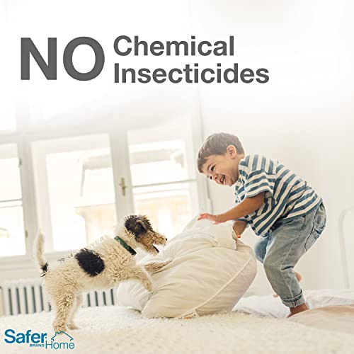 Safer Brand 4 Safer Home SH400 Indoor Spider, Ant, Cockroach, Centipede, and Crawling Insect Traps, Blue