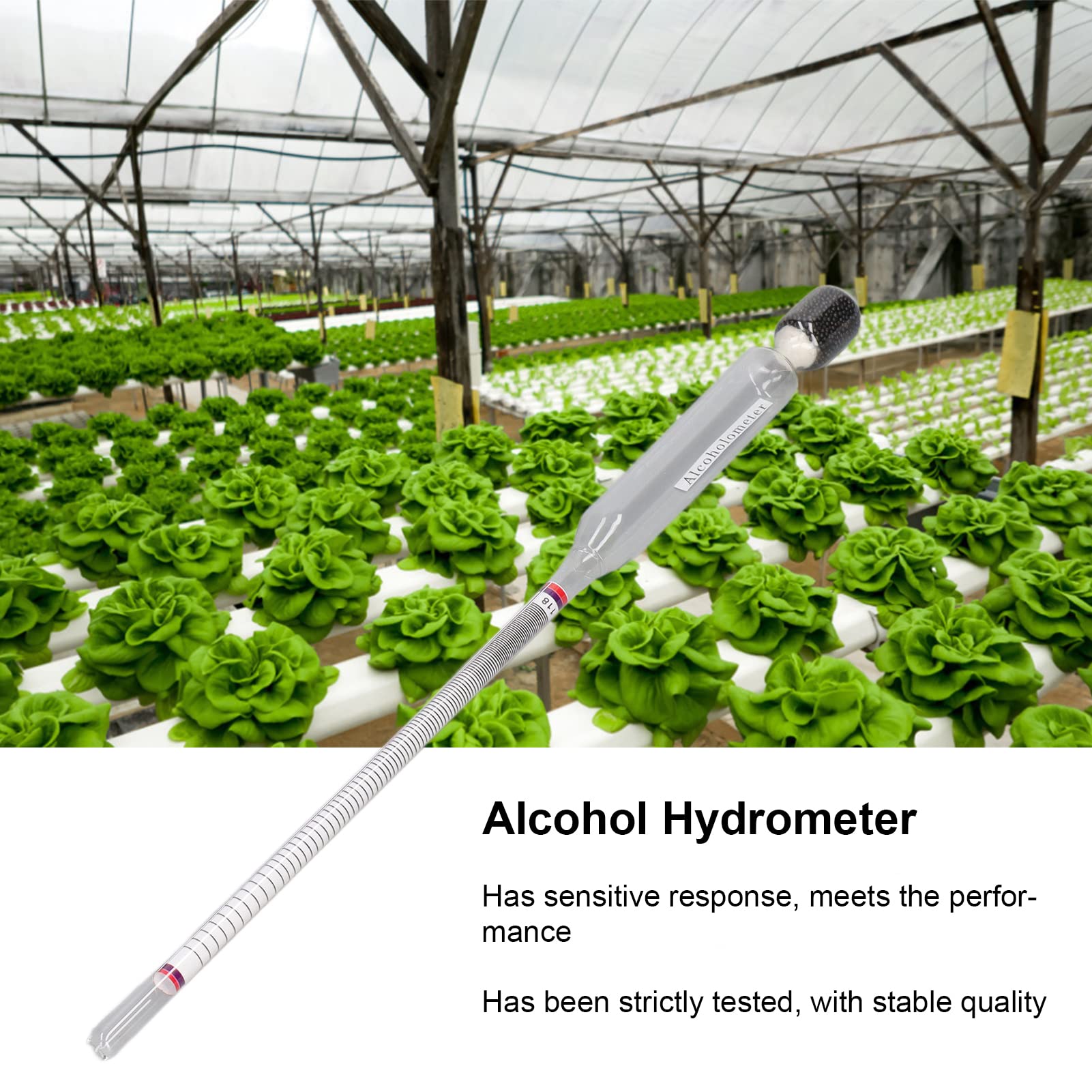 YYQTGG Wine Meter, Strictly Tested 10 Pcs Alcohol Hydrometer Easy To Observe Temperature Resistance for Laboratory Homebrewed Beer, Wine, Mead, Cider Monitor and Test Your Homebrew