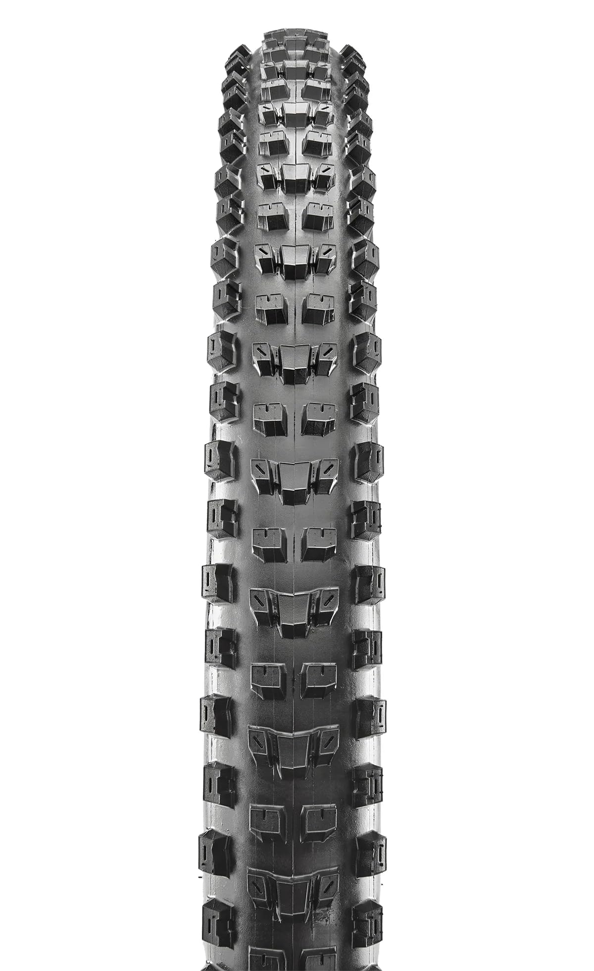 Maxxis Dissector 29 x 2.4 inches, 1302914155 WT 60 TPI Folding 3C MaxxTerra EXO/TR
