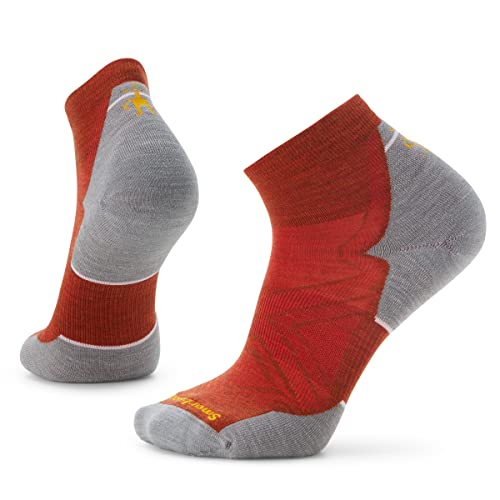 Smartwool Men's Run Targeted Cushion Merino Wool Ankle Socks, Picante, X-Large