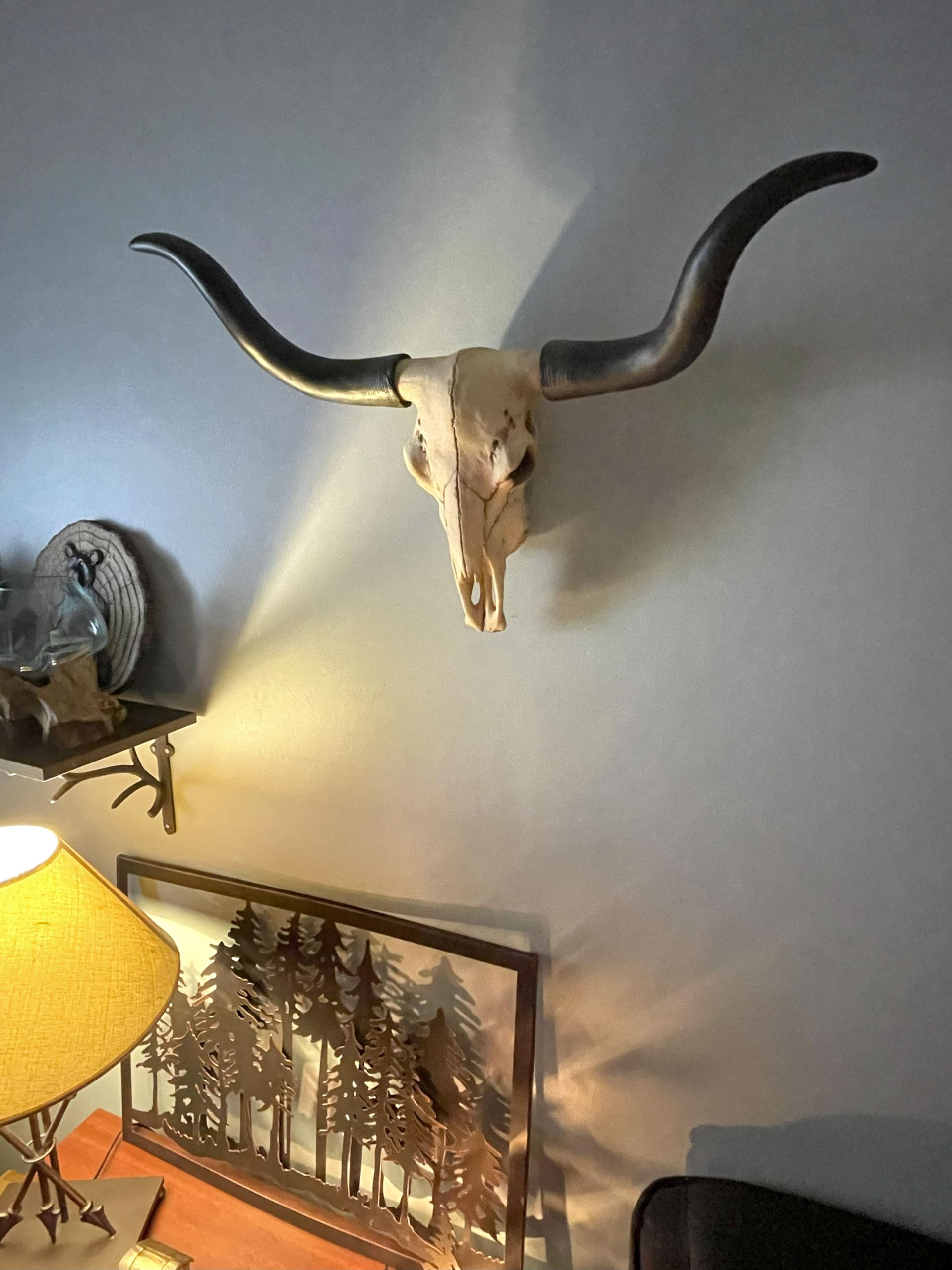 Long Horn Cow Skull Wall Hanging Longhorn Steer