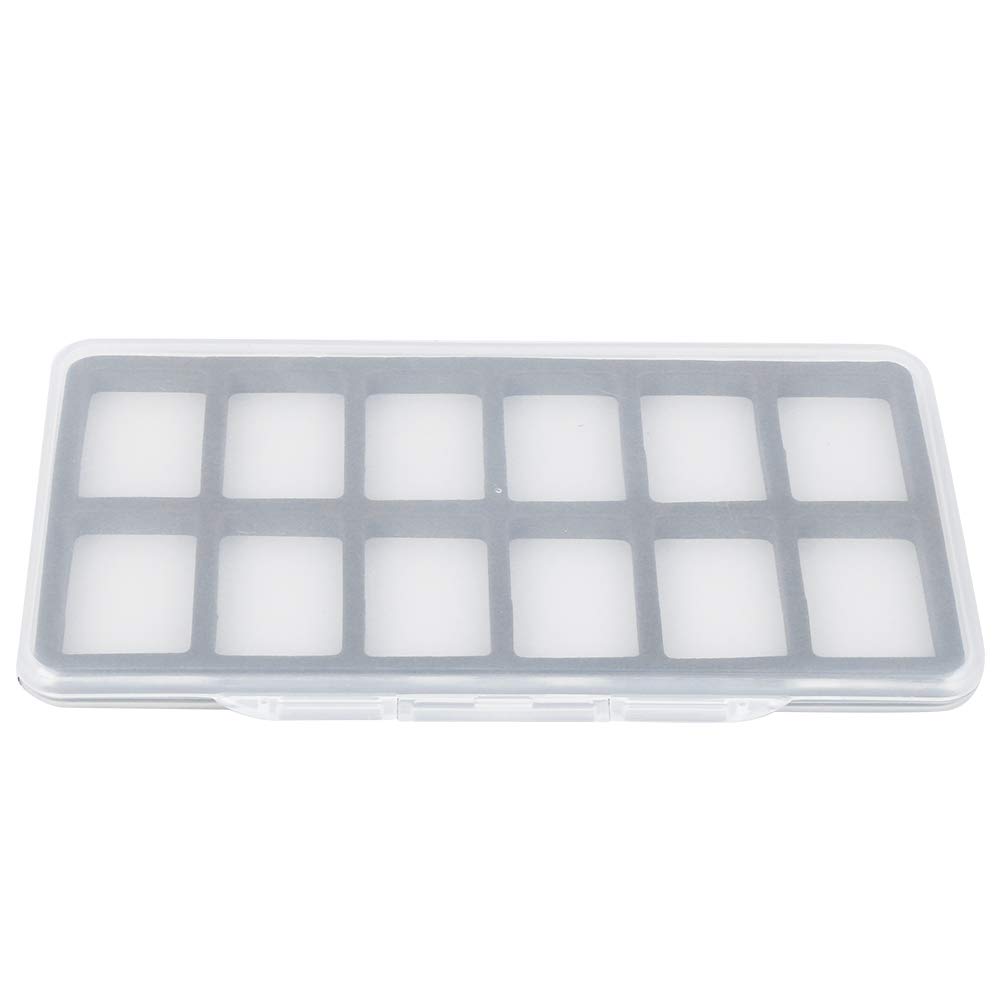 Ruining Fly Storage Box, Bait Case, Transparent with Foam Accessory Fishing Supply for Fishing for Lure Storage 12 Cells