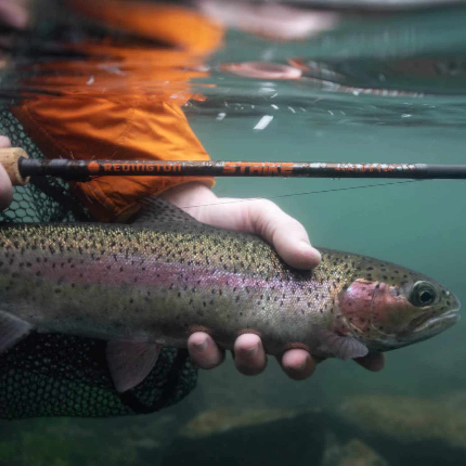 Redington Strike II Euro Nymph Fly Fishing Rod with Tube, Medium Fast Action, 4-Pieces, 4WT 10'6"