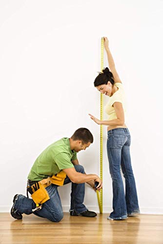 Triton - 6 Pack - 25 ft Tape Measures - Easy to Read Fractions to 1/8th inch - Magnetic Claw Tip - Thumb and Quick Lock - Autowind - Belt Clip
